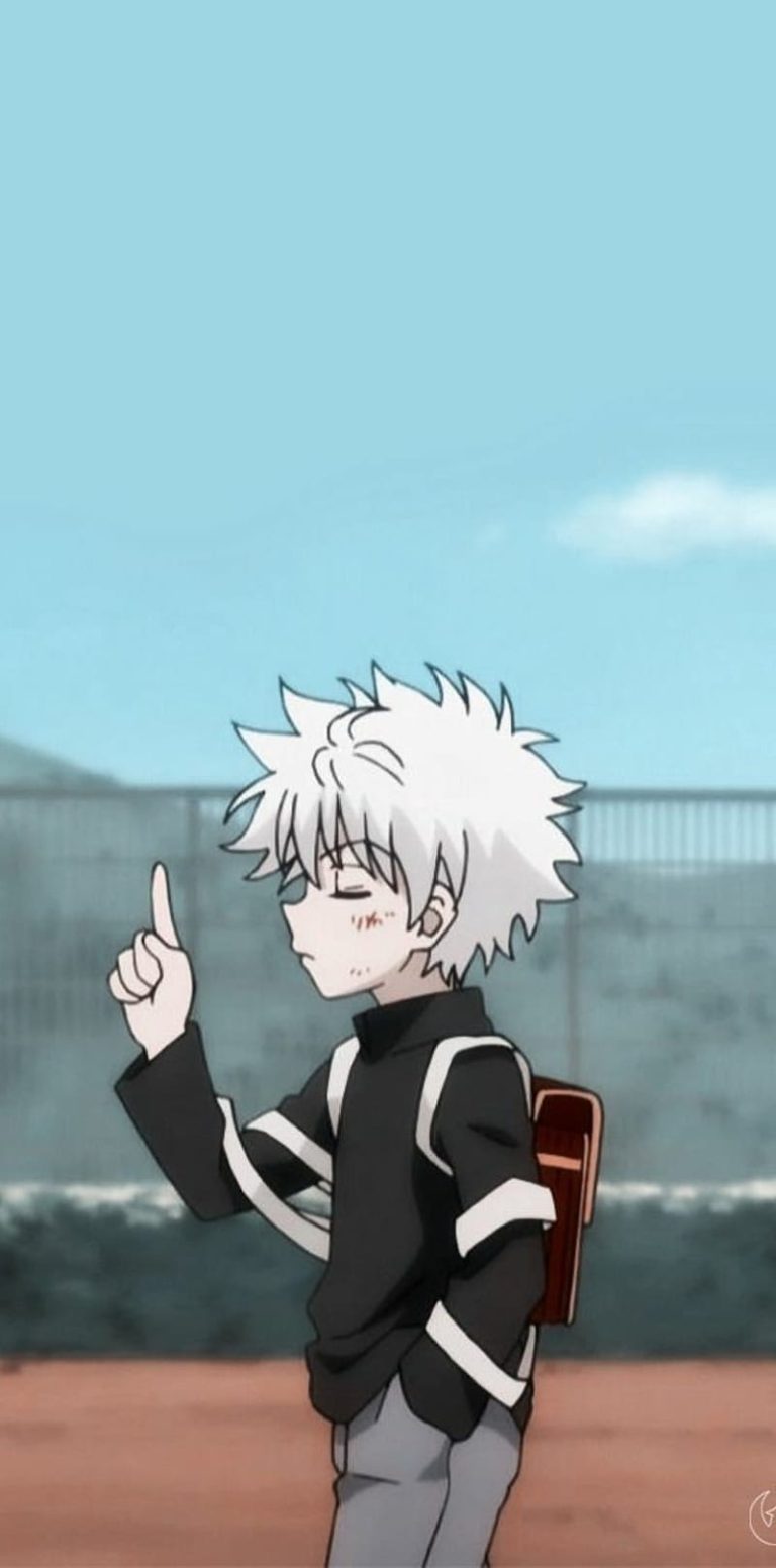 70+ Best Hunter x Hunter Pfp, Images, Dp & Wallpaper 2026